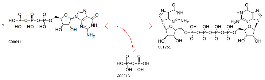 KEGG REACTION: R00012