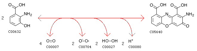 KEGG REACTION: R02670
