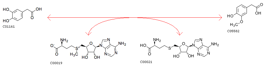 KEGG REACTION: R03304