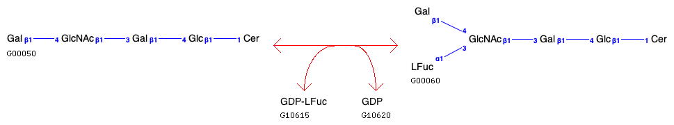 KEGG REACTION: R06025