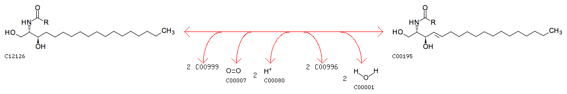 KEGG REACTION: R06519