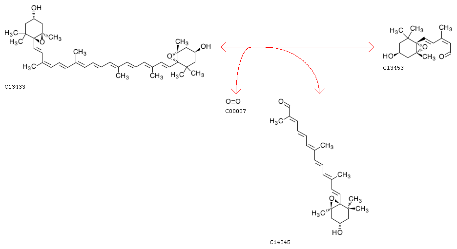 KEGG REACTION: R06953