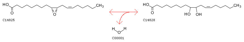 KEGG REACTION: R07122
