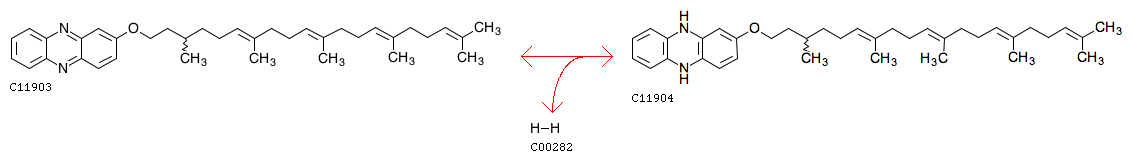 KEGG REACTION: R09095
