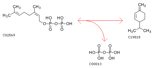 KEGG REACTION: R09687