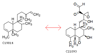 KEGG REACTION: R11069