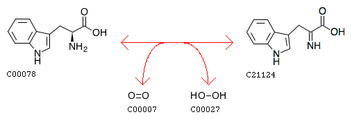 KEGG REACTION: R11119