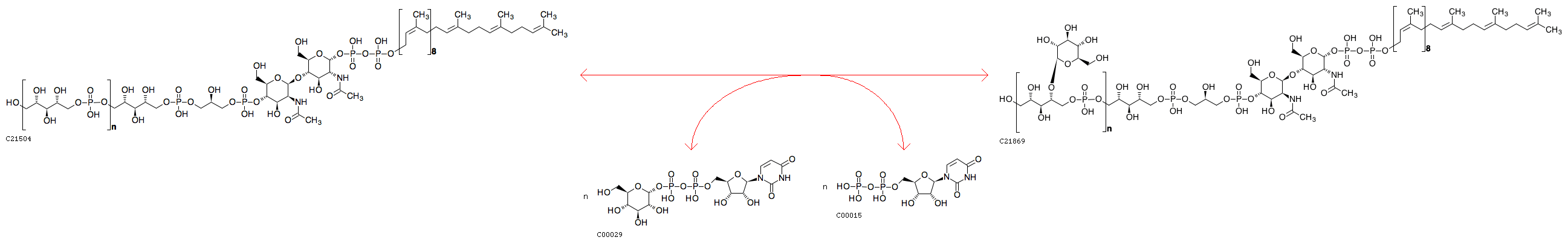 KEGG REACTION: R12036