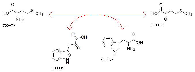KEGG REACTION: R12055