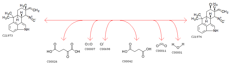 KEGG REACTION: R12165