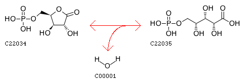 KEGG REACTION: R12248