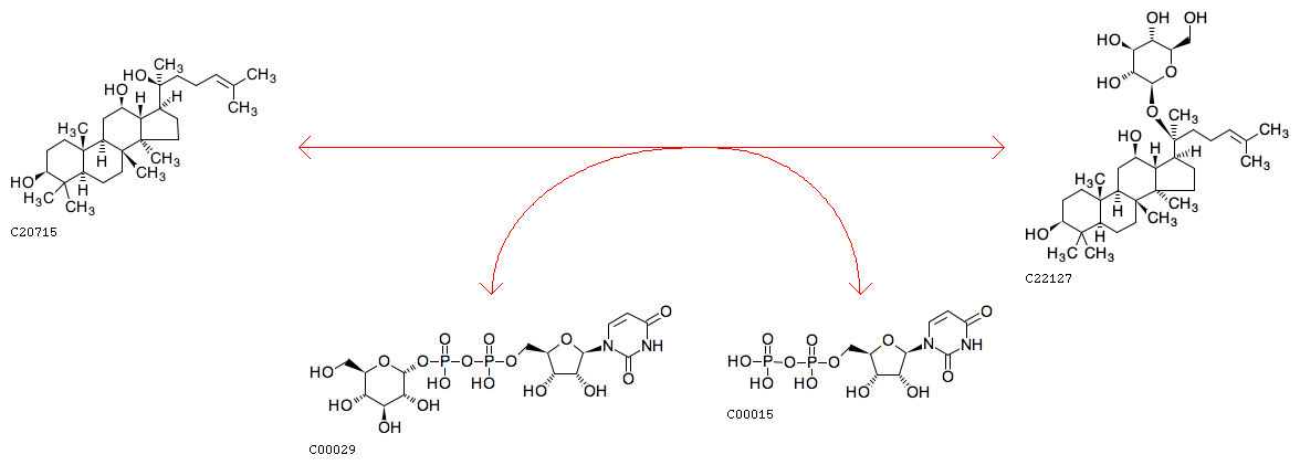 KEGG REACTION: R12382