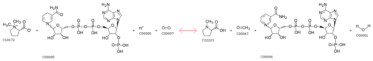 KEGG REACTION: R12512