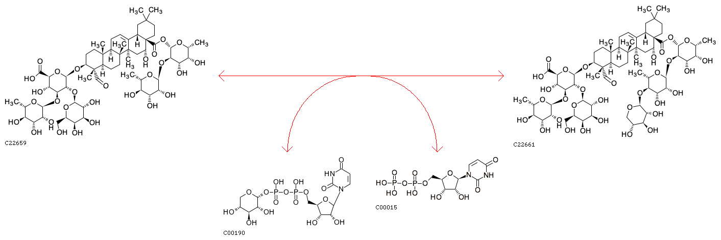 KEGG REACTION: R13160