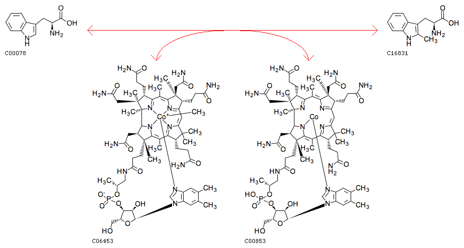 KEGG REACTION: R13409