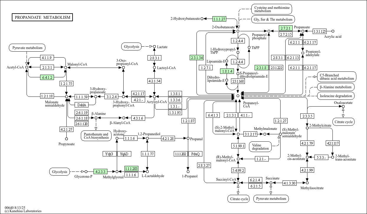 KEGG PATHWAY: Propanoate metabolism - Acholeplasma laidlawii
