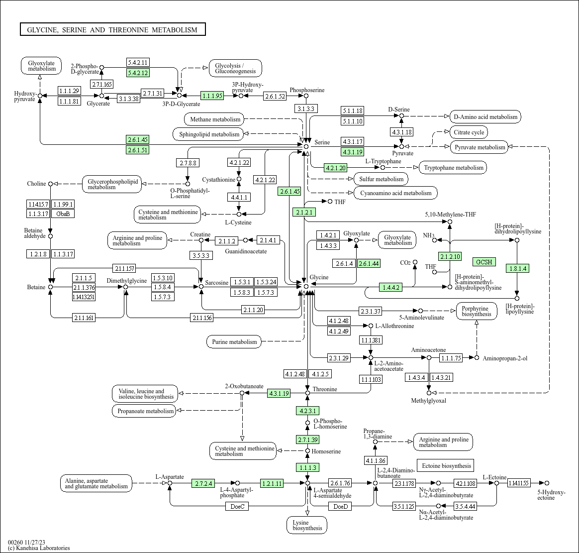 KEGG PATHWAY: Glycine, serine and threonine metabolism - Anabaenopsis ...