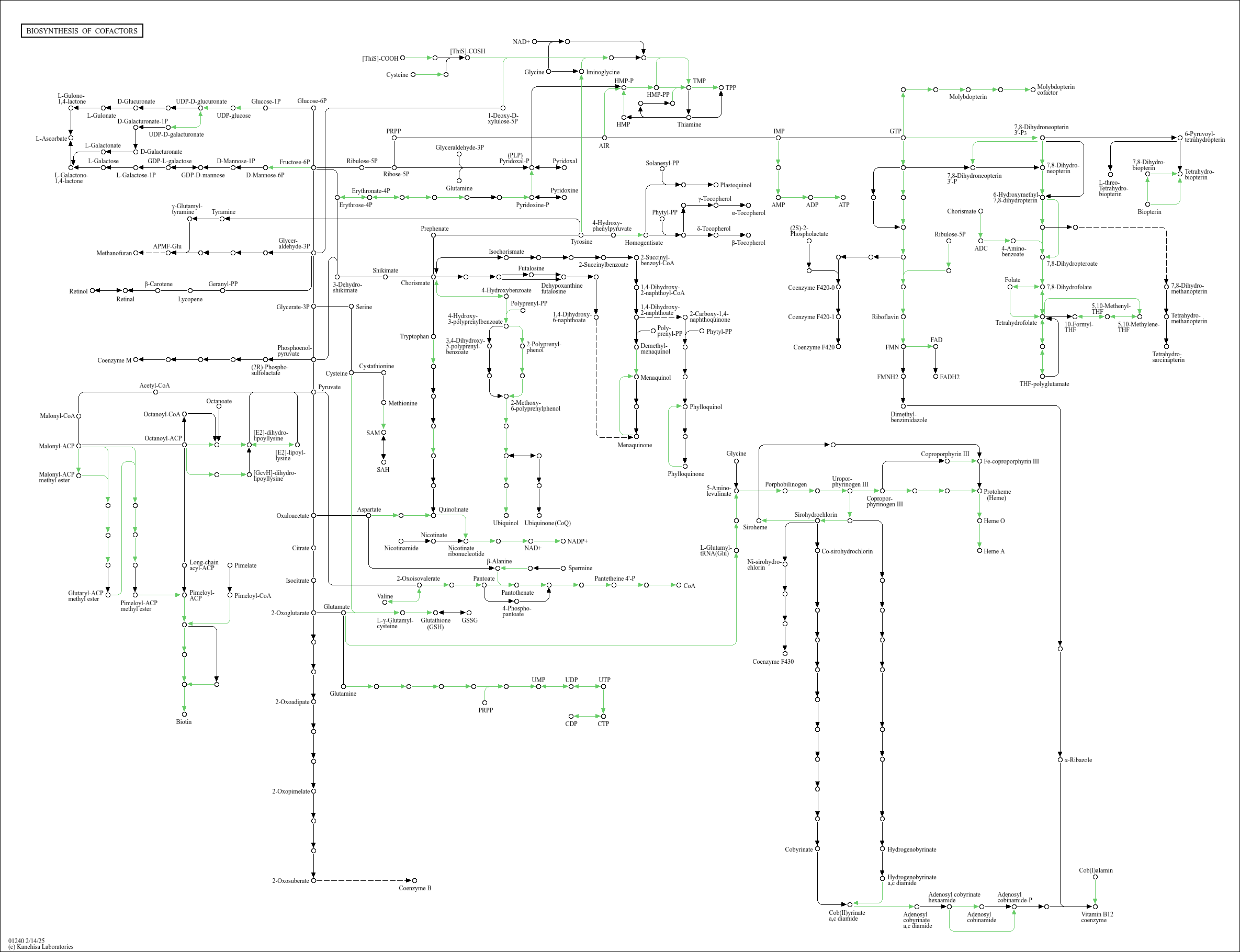 KEGG PATHWAY: Biosynthesis of cofactors - Alteromonas mediterranea DE1