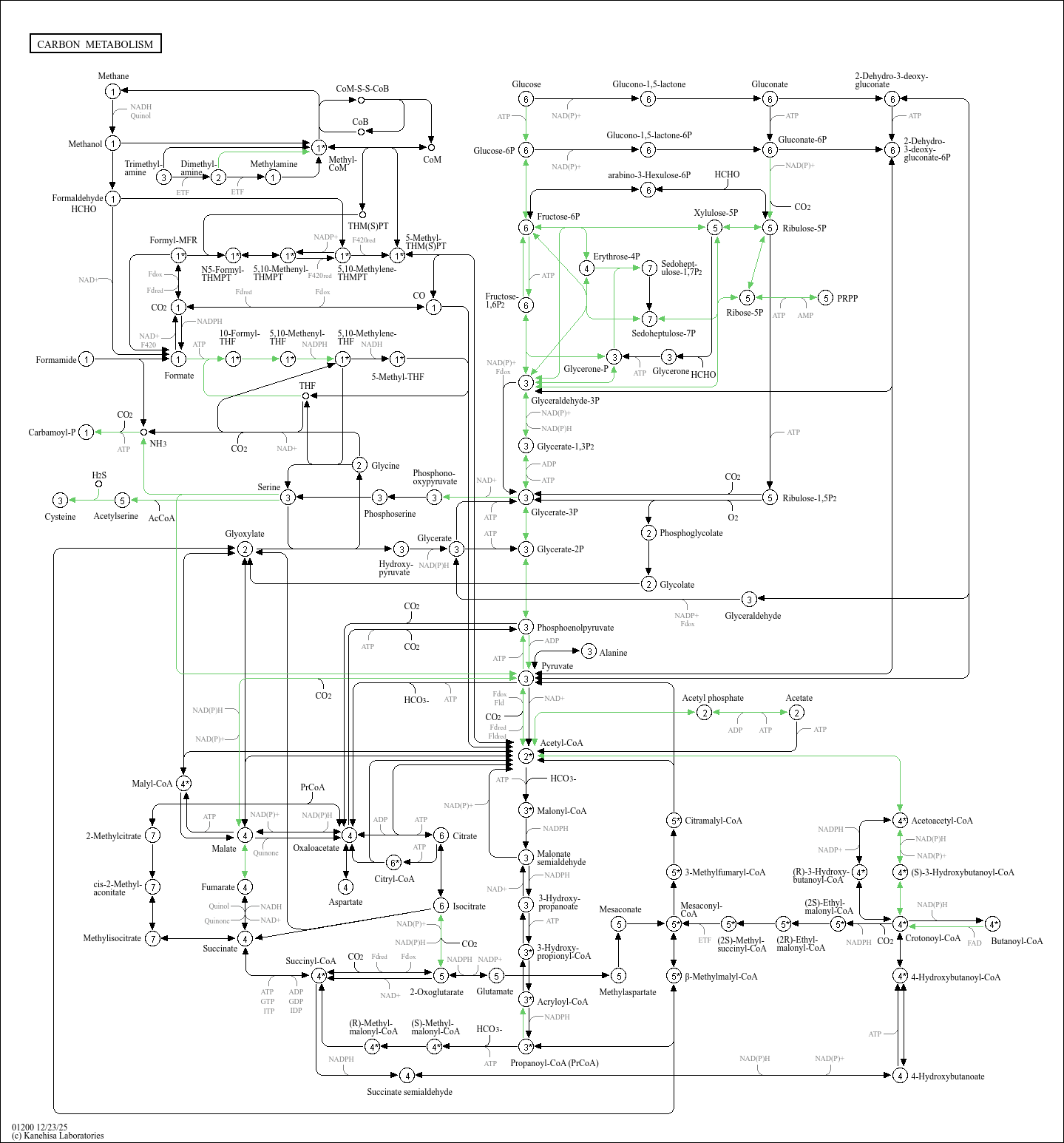KEGG PATHWAY: Carbon metabolism - Anaerococcus obesiensis