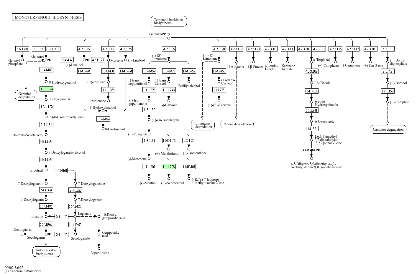 KEGG PATHWAY: Monoterpenoid biosynthesis - Abrus precatorius (Indian ...