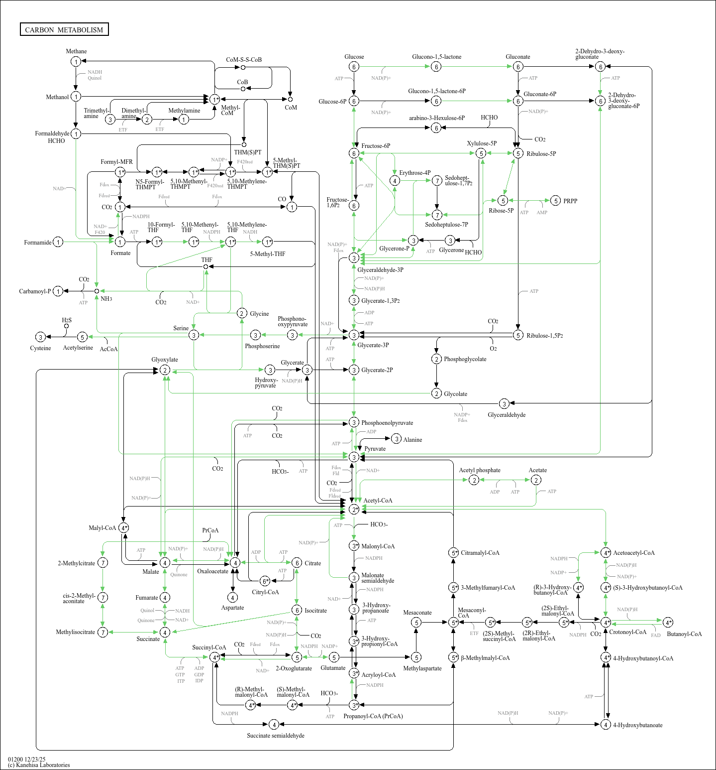 KEGG PATHWAY: Carbon metabolism - Achromobacter seleniivolatilans