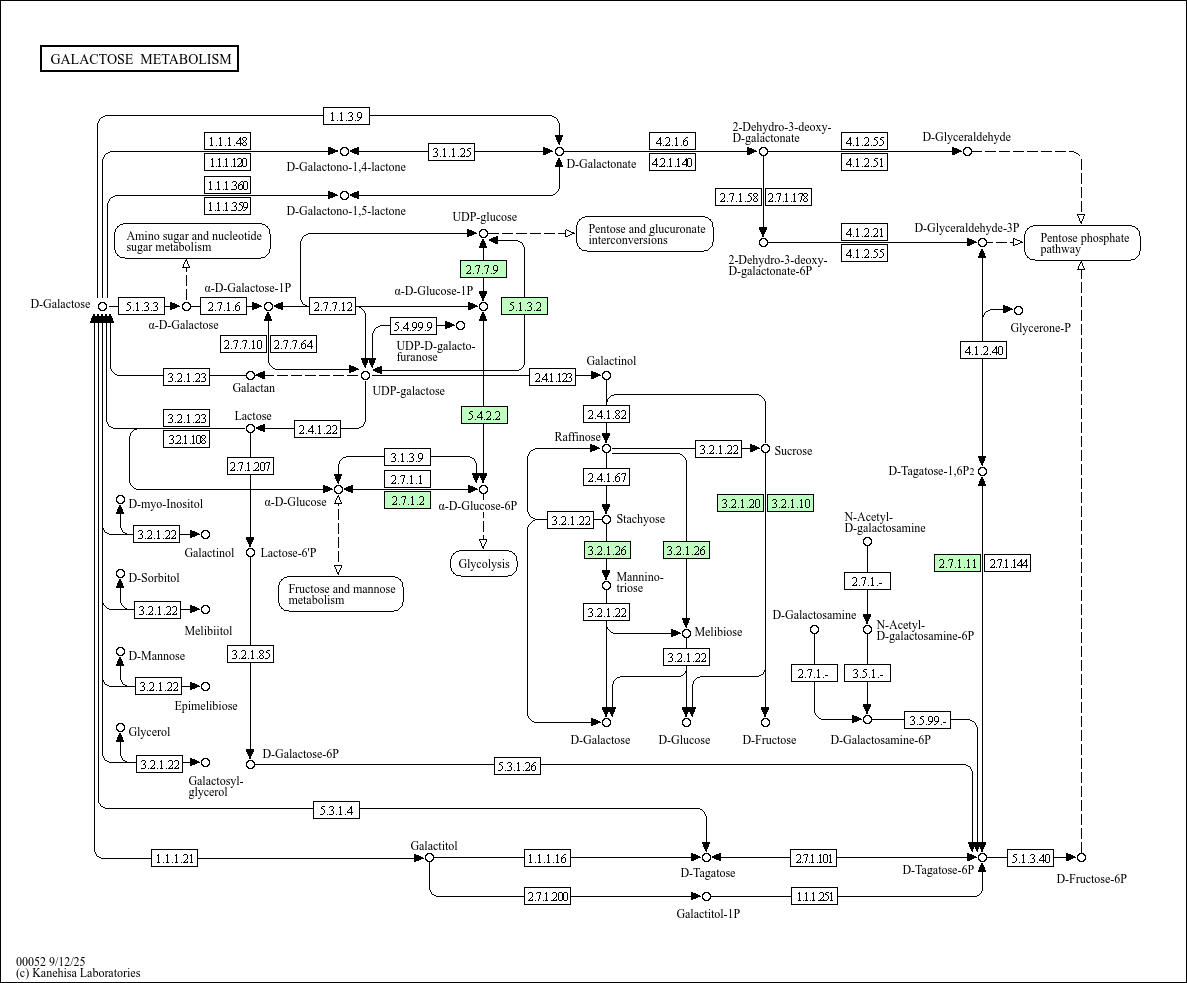 KEGG PATHWAY: Galactose metabolism - Bacillus anthracis CDC 684