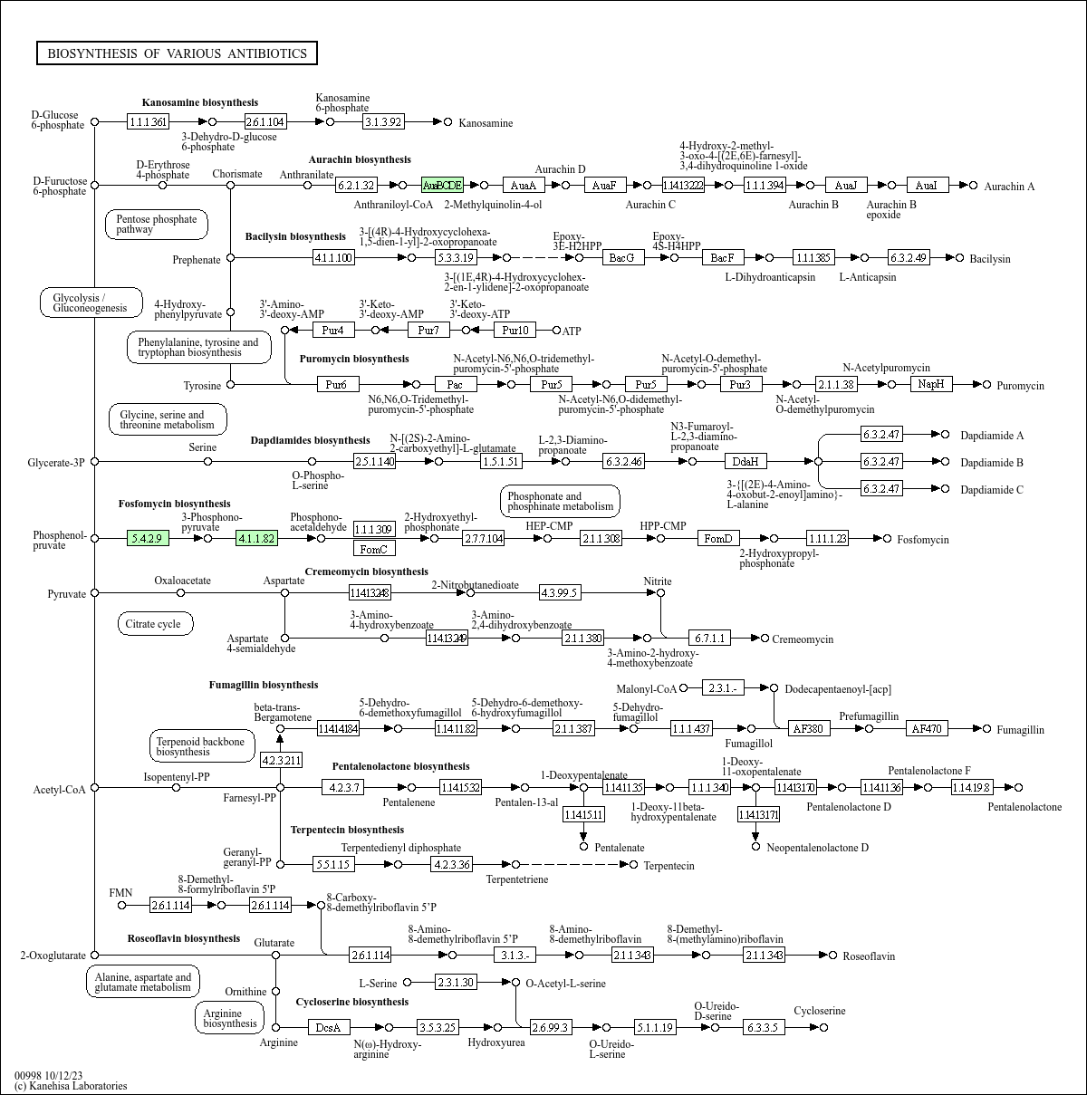 KEGG PATHWAY: Biosynthesis of various antibiotics - Burkholderia ...