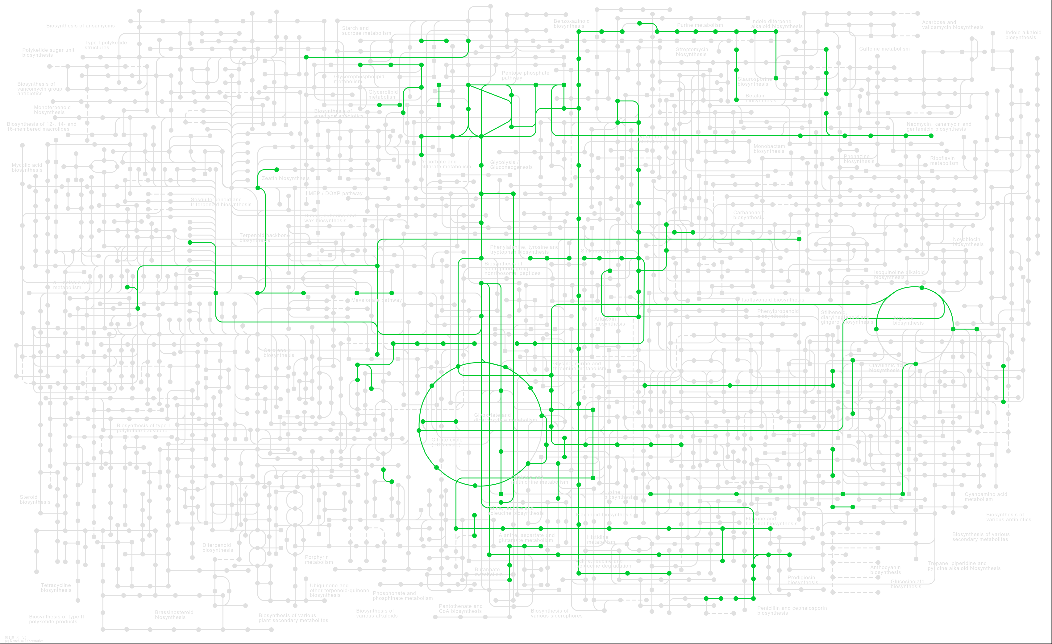 KEGG PATHWAY: Biosynthesis of secondary metabolites - Blattabacterium ...
