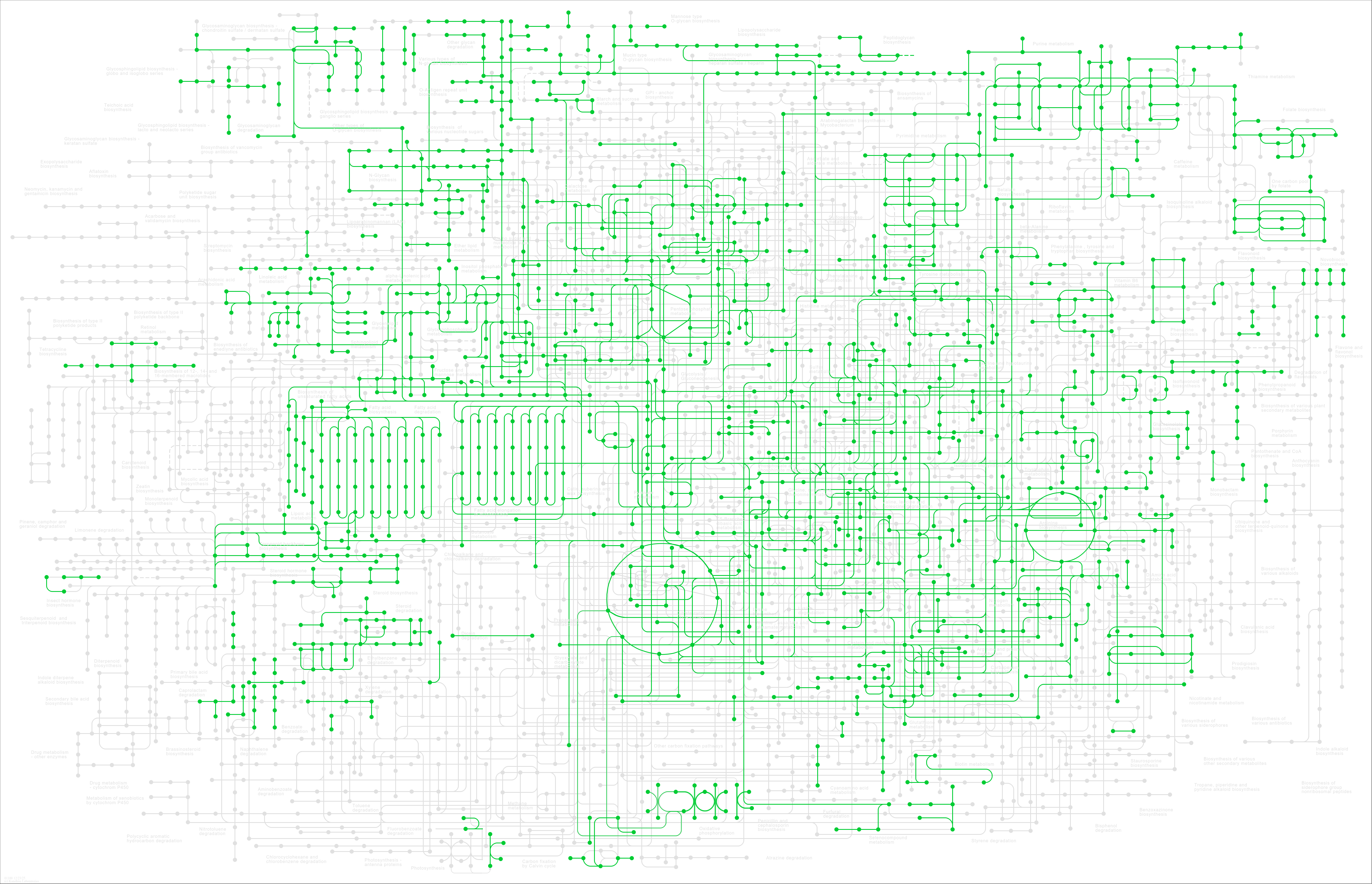 KEGG PATHWAY: Metabolic pathways - Branchiostoma floridae (Florida ...