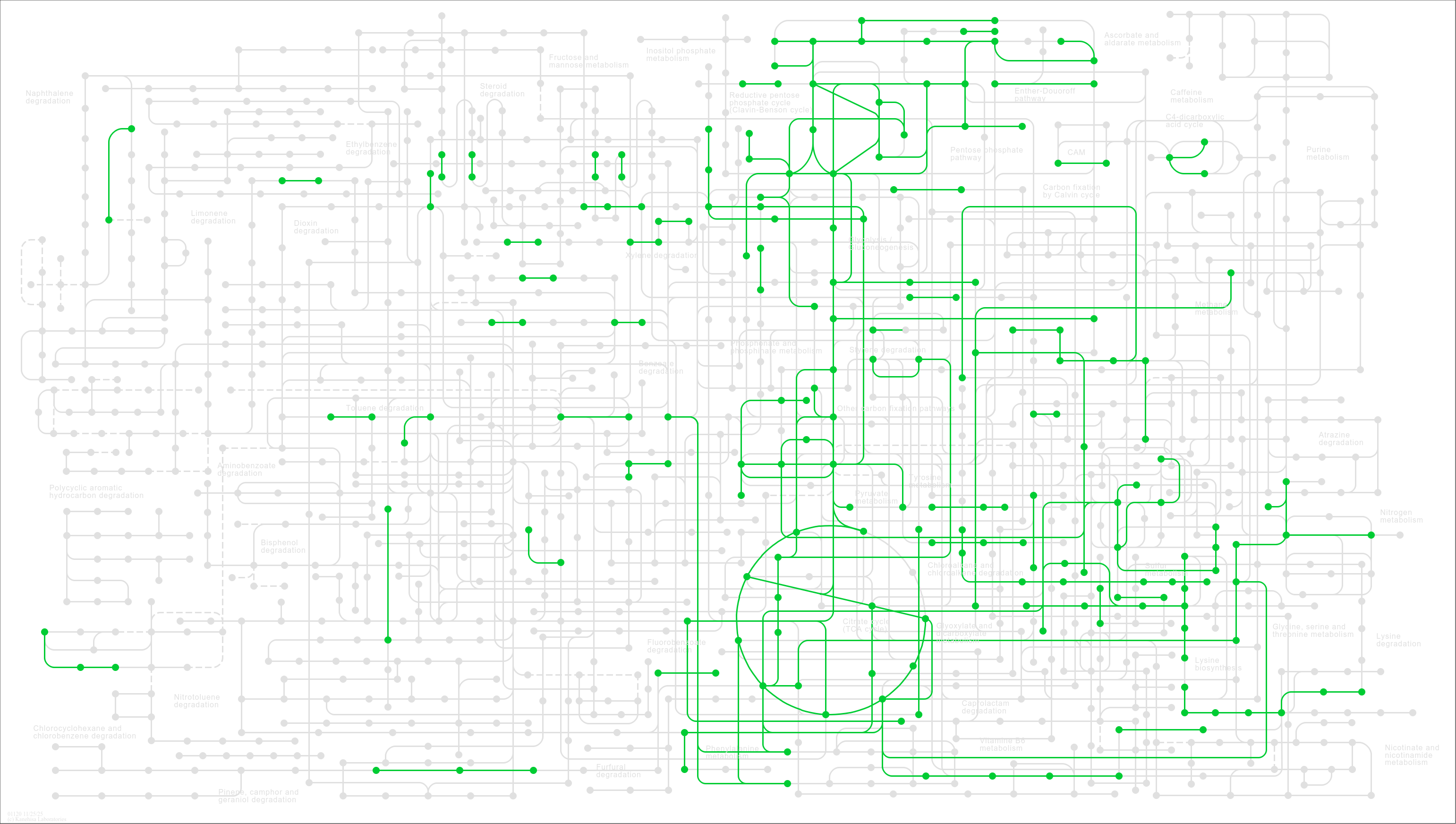 KEGG PATHWAY: Microbial metabolism in diverse environments - Bacillus ...