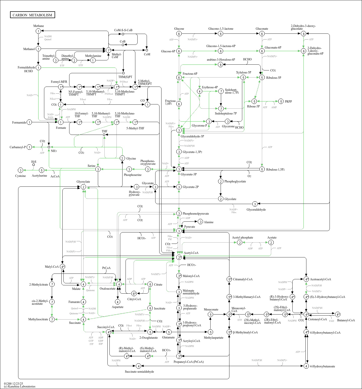 KEGG PATHWAY: Carbon metabolism - Cedecea neteri M006