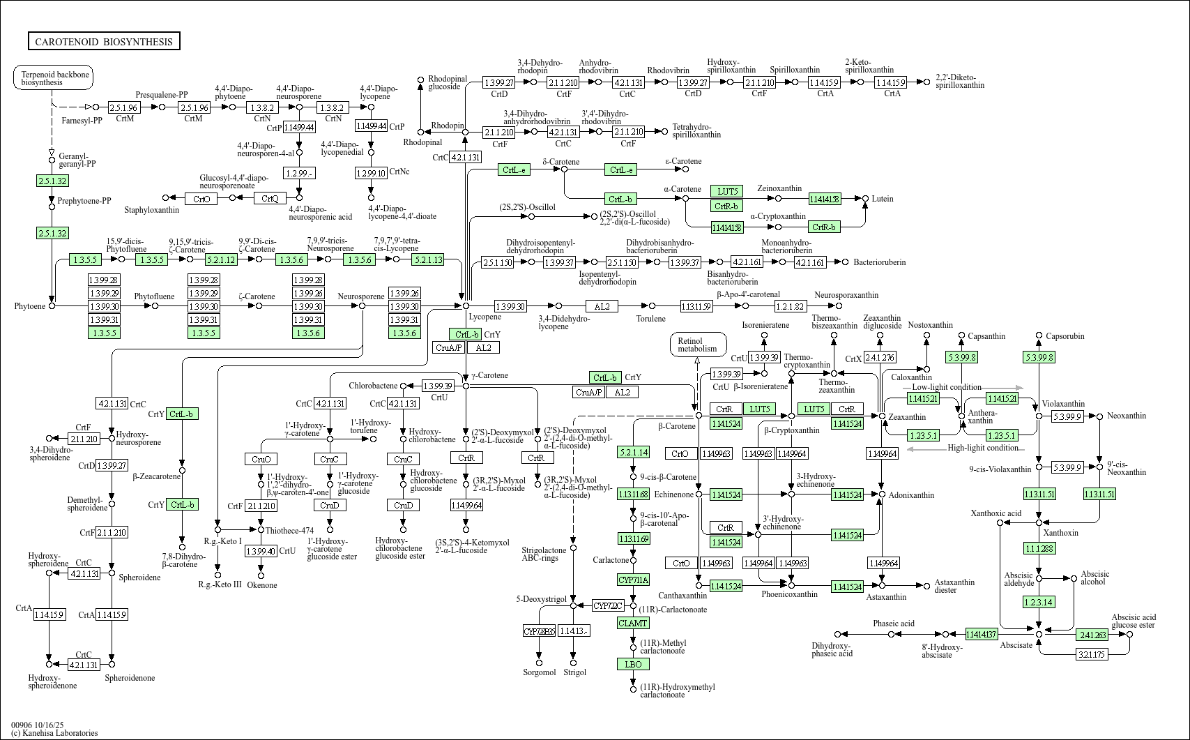 KEGG PATHWAY: Carotenoid biosynthesis - Citrus sinensis (Valencia orange)