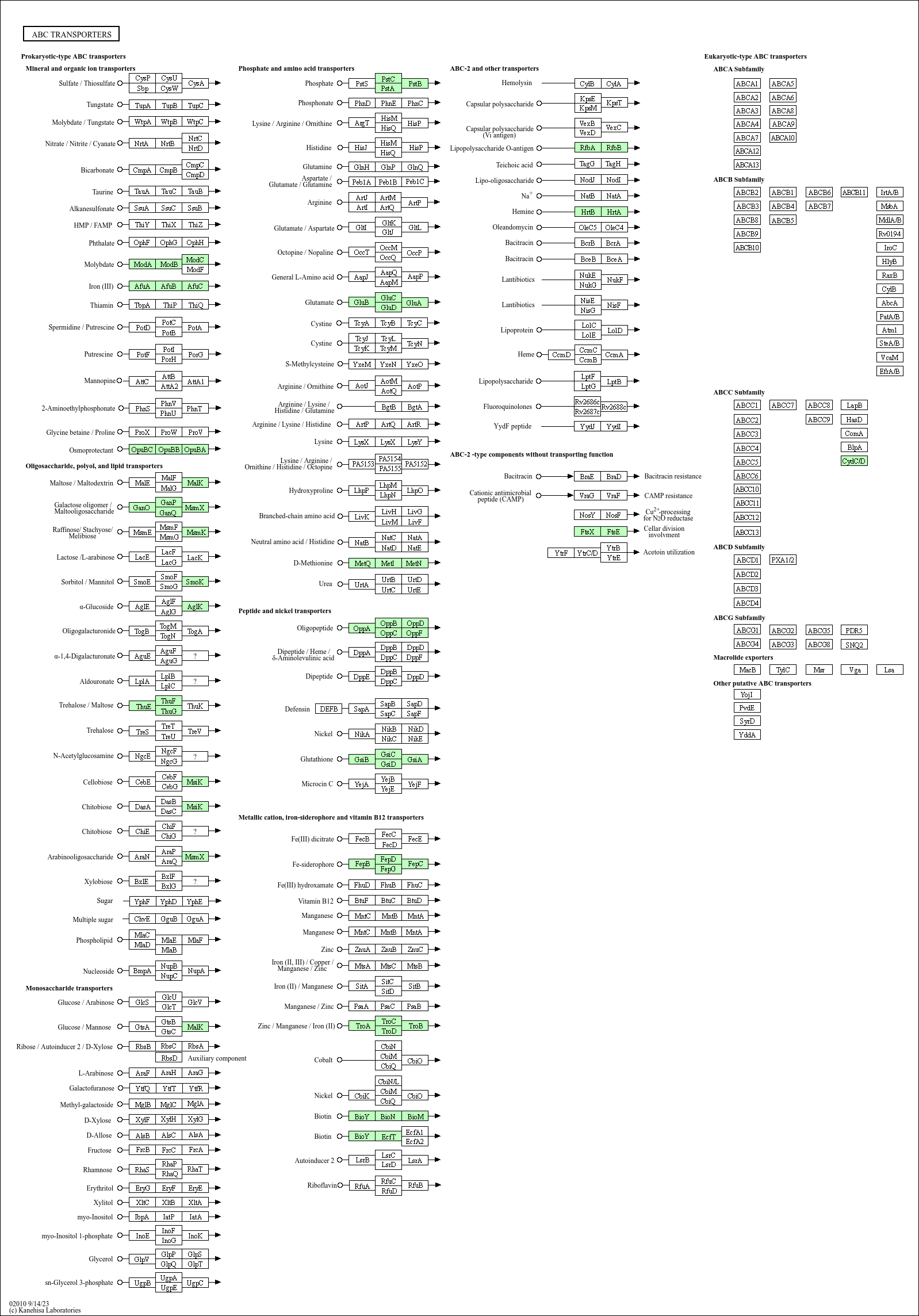 KEGG PATHWAY: ABC transporters - Corynebacterium pseudotuberculosis CIP ...