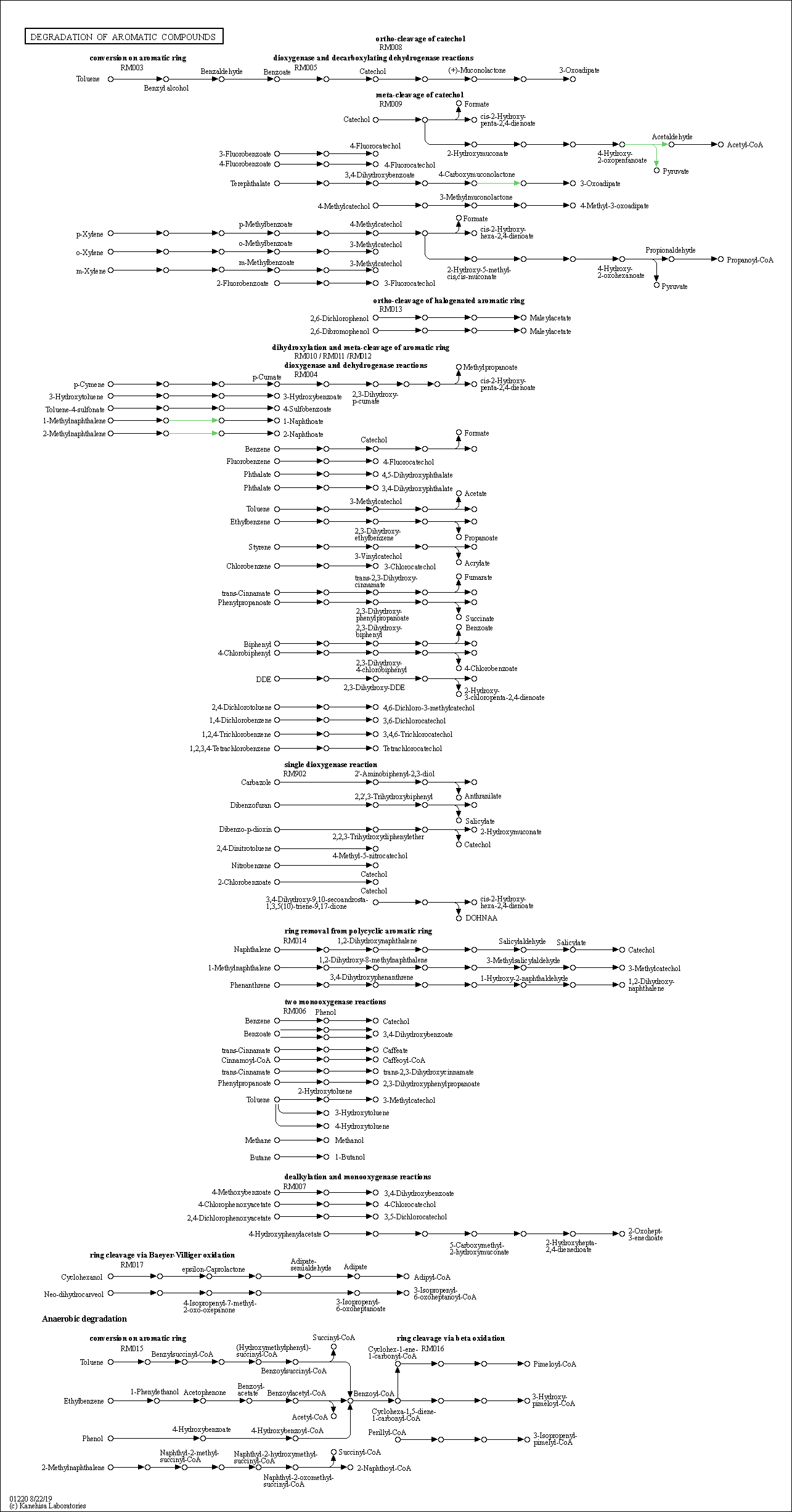 KEGG PATHWAY: Degradation of aromatic compounds - Clostridium ...