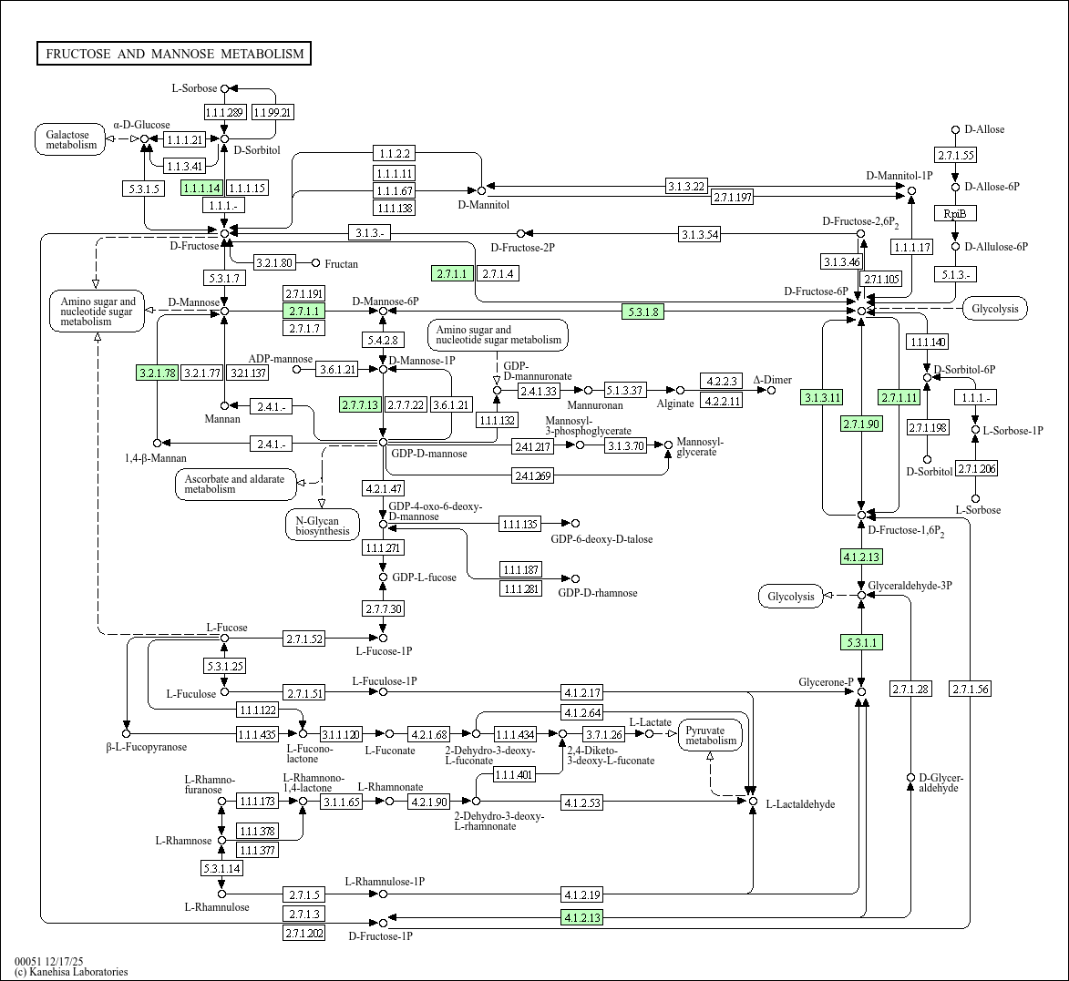 KEGG PATHWAY: Fructose and mannose metabolism - Chlorella variabilis