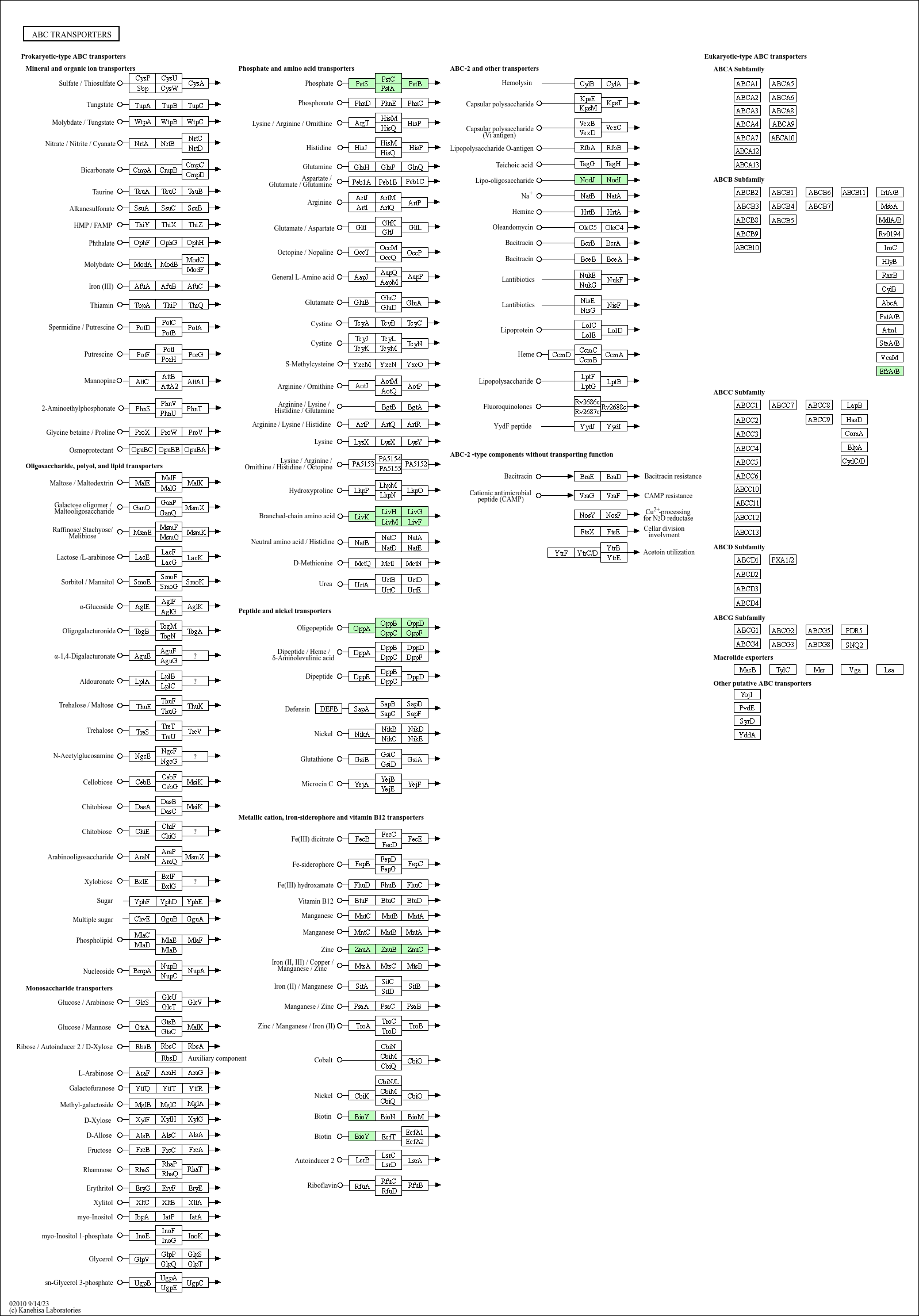 KEGG PATHWAY: ABC transporters - Dehalococcoides mccartyi VS