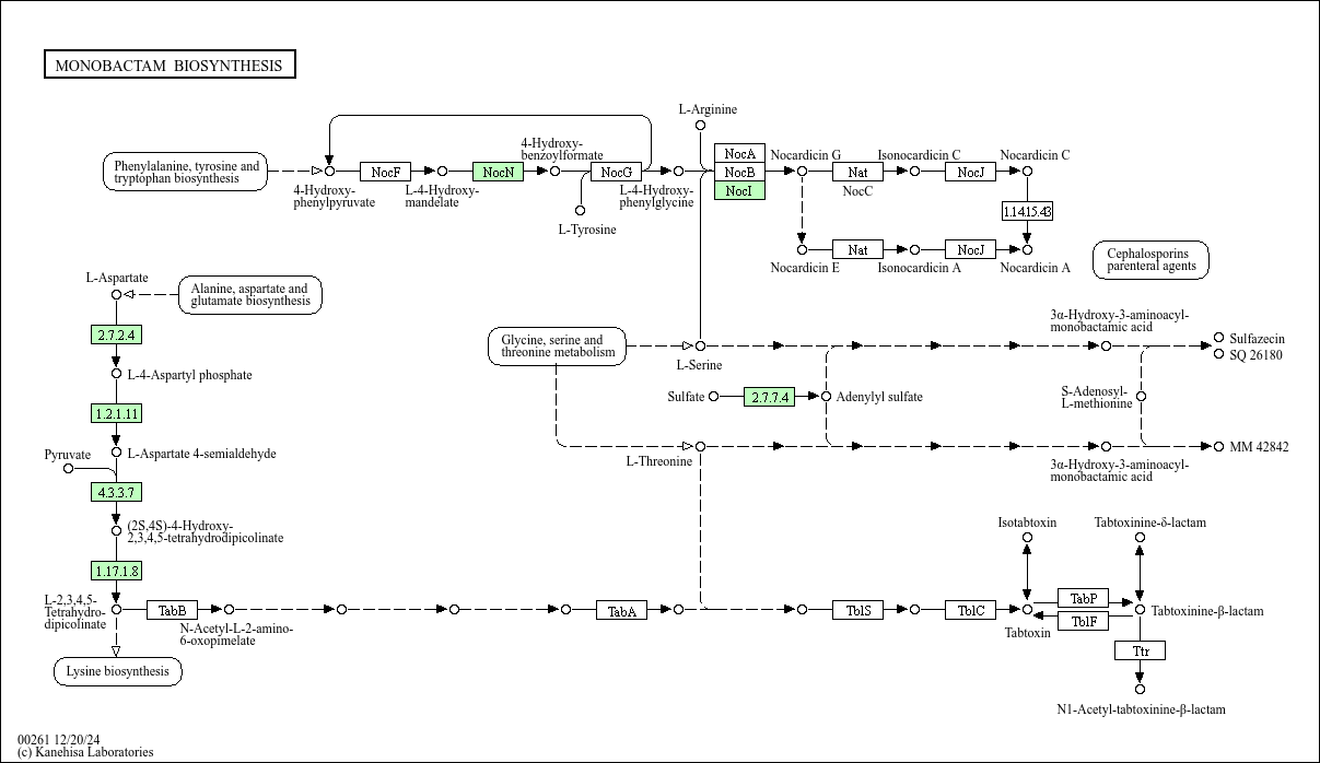 KEGG PATHWAY: Monobactam biosynthesis - Delftia tsuruhatensis
