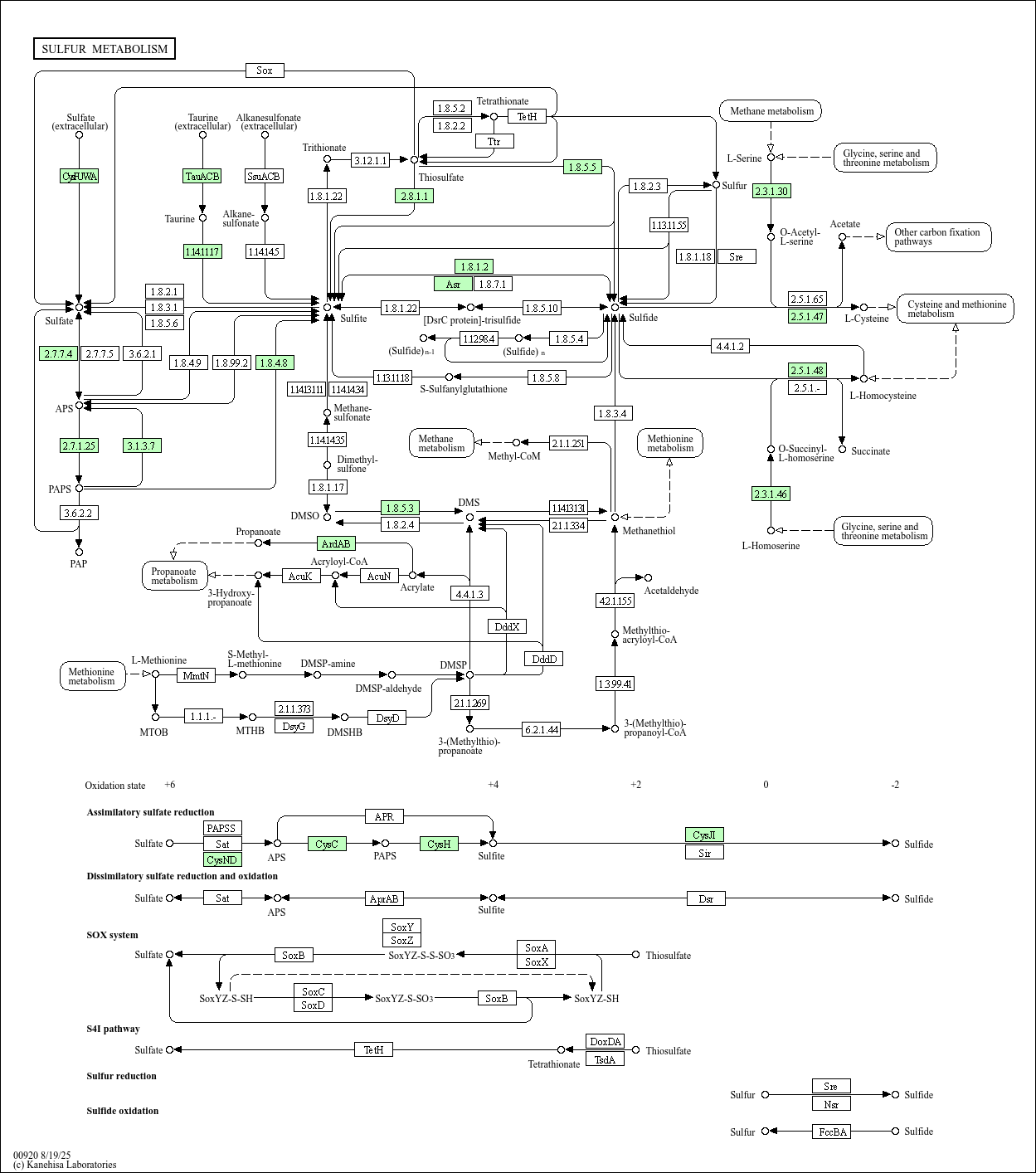 KEGG PATHWAY: Sulfur metabolism - Escherichia albertii