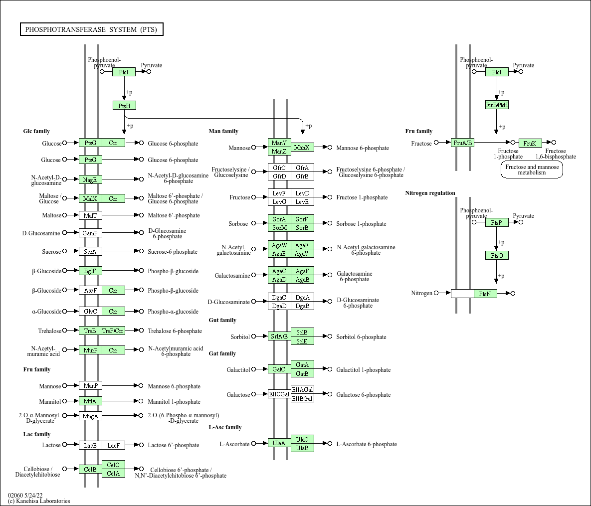 KEGG PATHWAY: Phosphotransferase system (PTS) - Escherichia coli O6:K2 ...