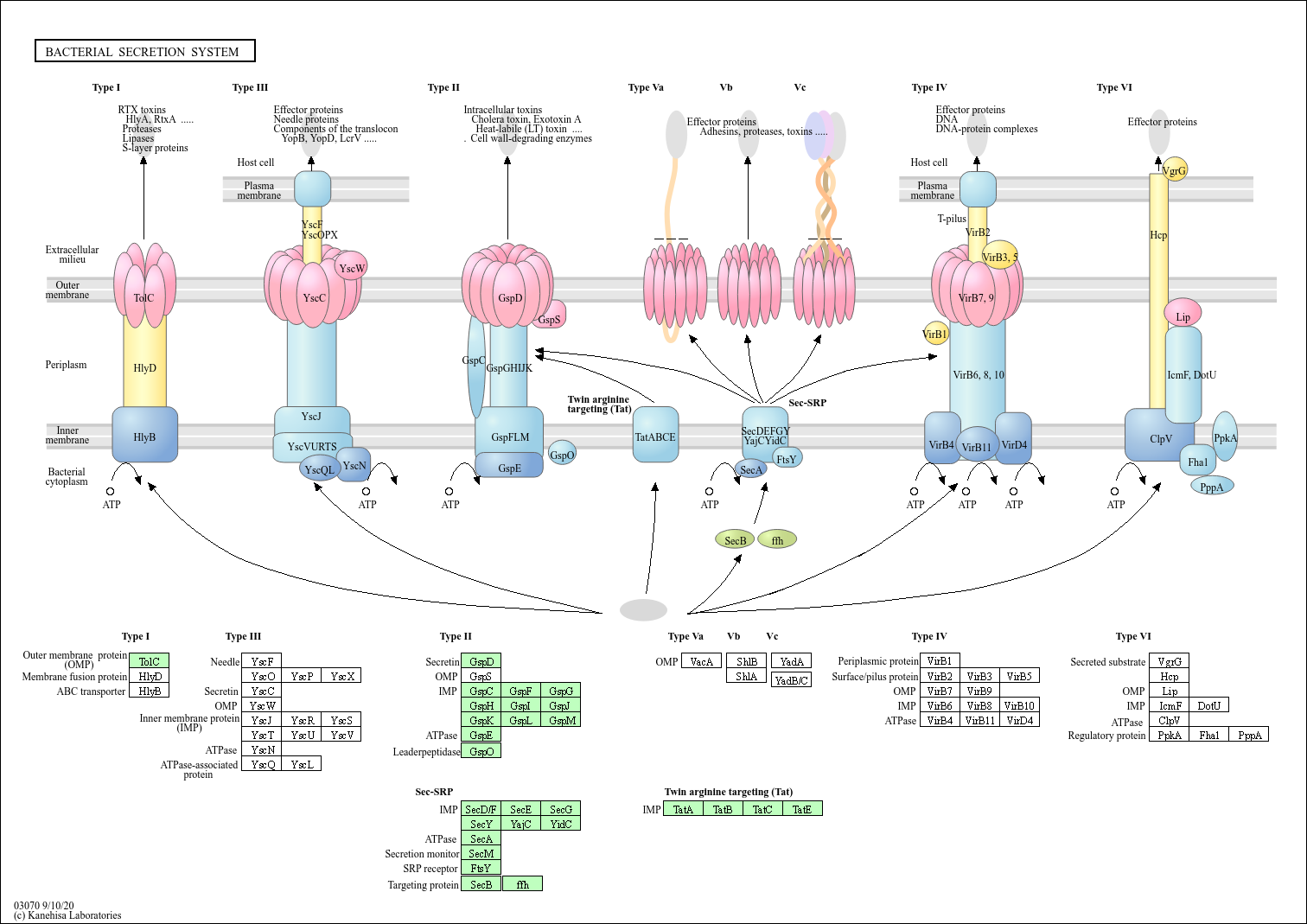 KEGG PATHWAY: Bacterial secretion system - Escherichia coli K-12 MG1655