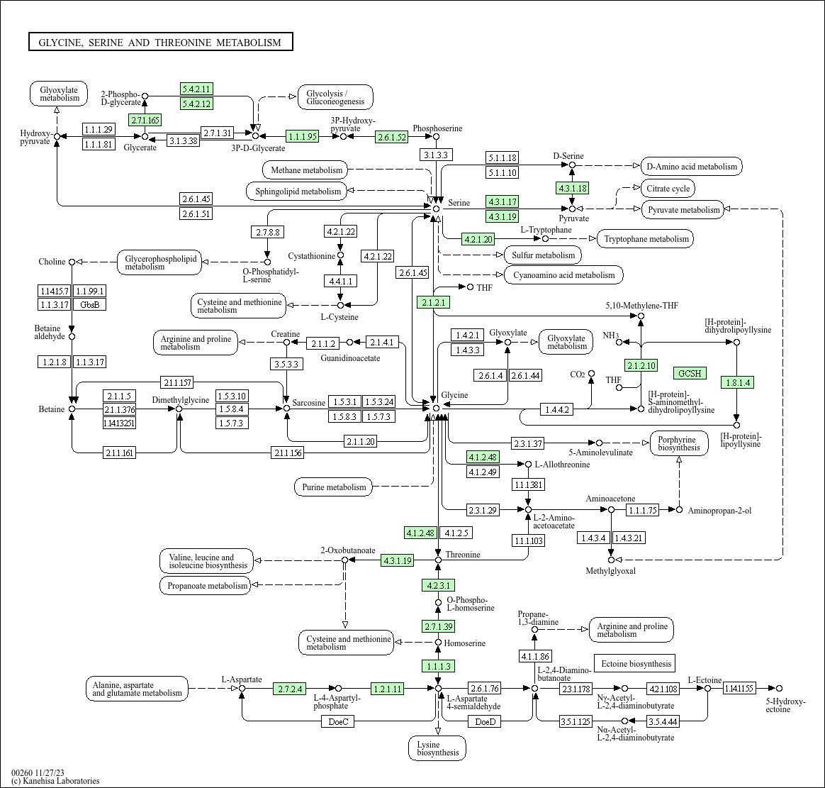 KEGG PATHWAY: Glycine, serine and threonine metabolism - Eubacterium ...