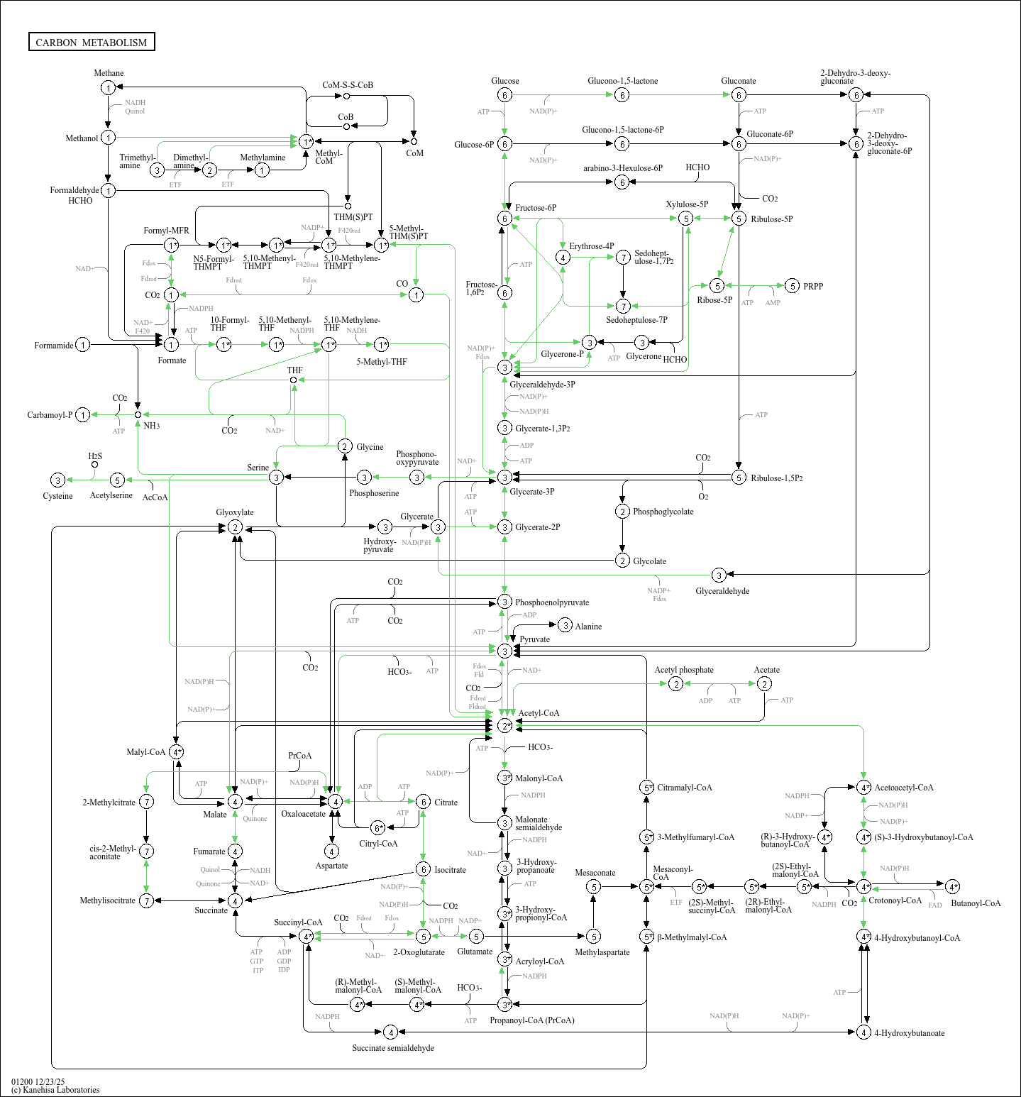 KEGG PATHWAY: Carbon metabolism - Eubacterium callanderi