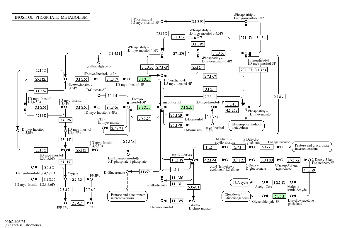 KEGG PATHWAY: Inositol phosphate metabolism - Enterobacter sp. FY-07