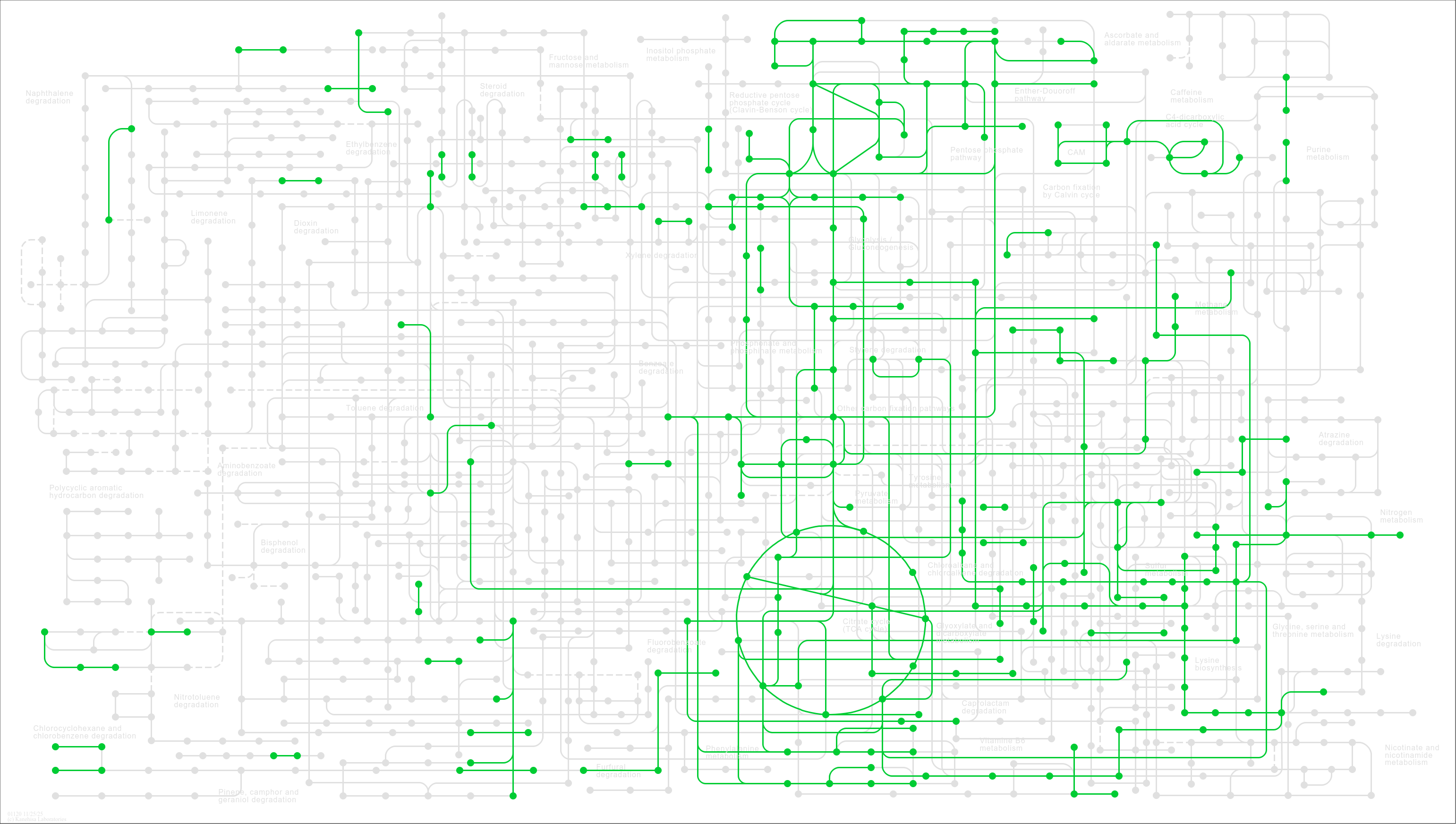 KEGG PATHWAY: Microbial metabolism in diverse environments ...