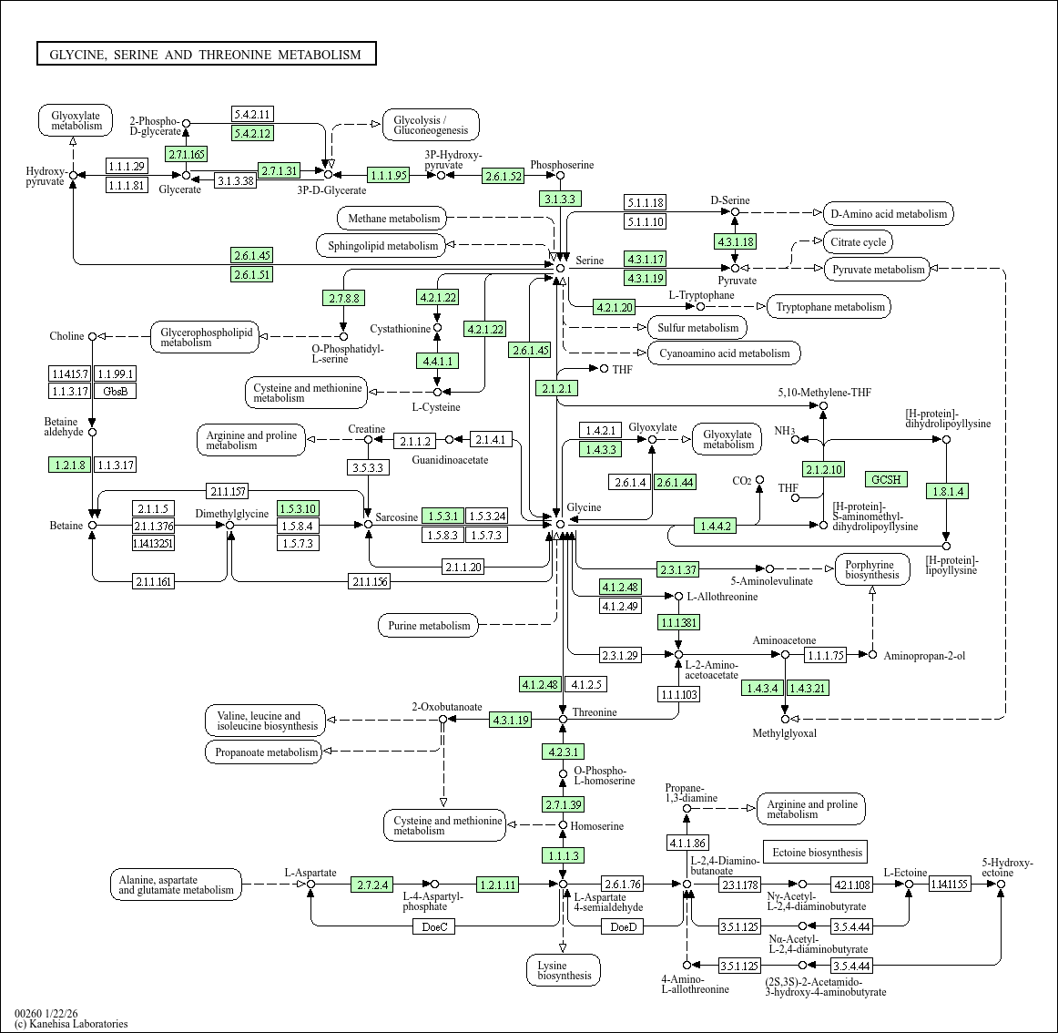 KEGG PATHWAY: Glycine, serine and threonine metabolism - Fusarium ...