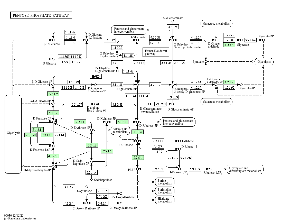 KEGG PATHWAY: Pentose phosphate pathway - Geobacter sulfurreducens PCA