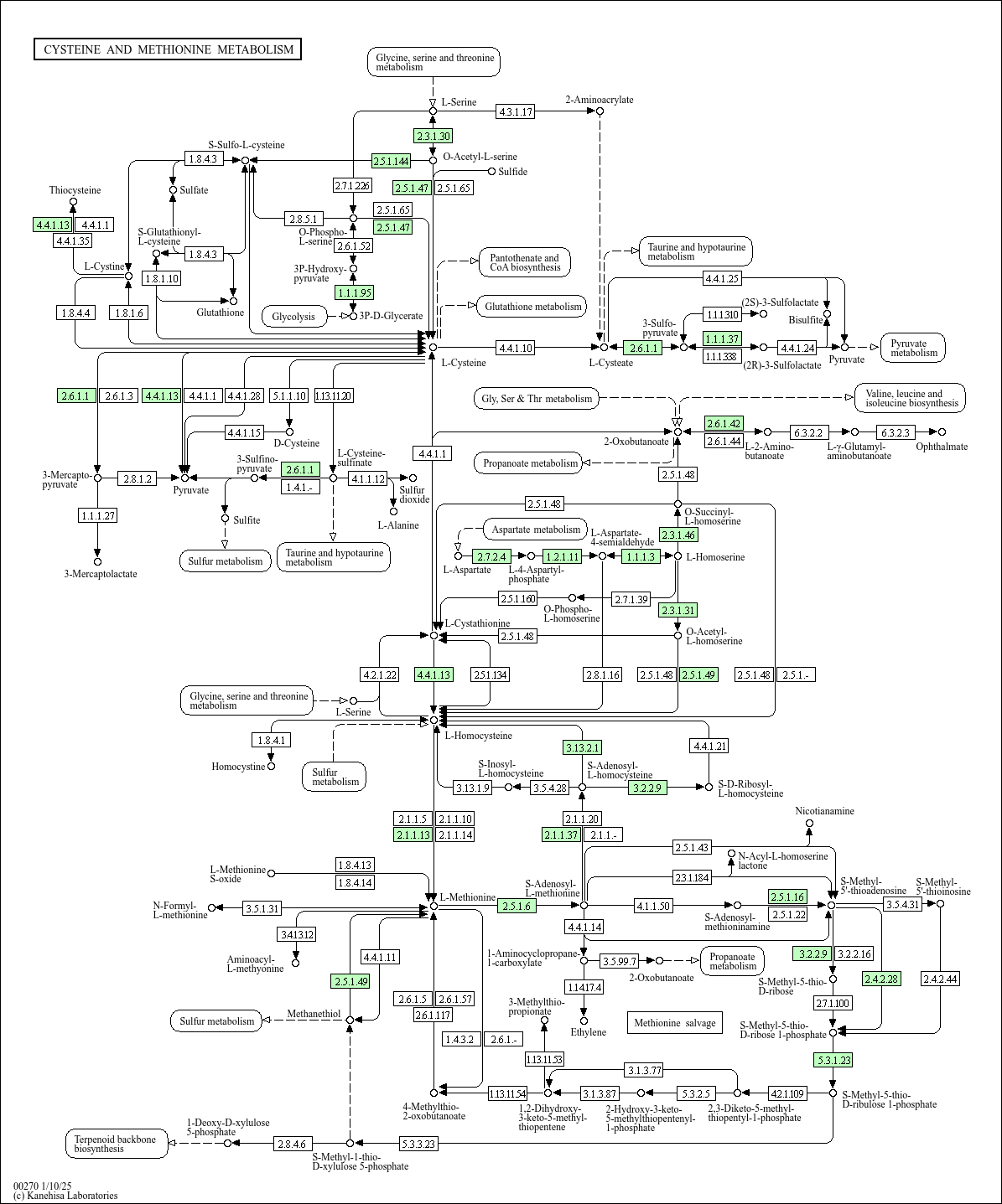 KEGG PATHWAY: Cysteine and methionine metabolism - Geobacter ...