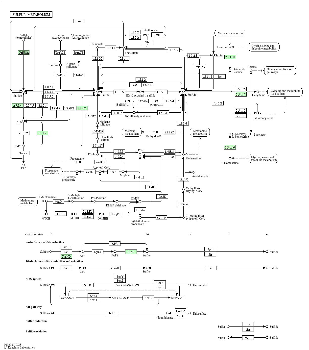 KEGG PATHWAY: Sulfur metabolism - Geobacter sulfurreducens PCA