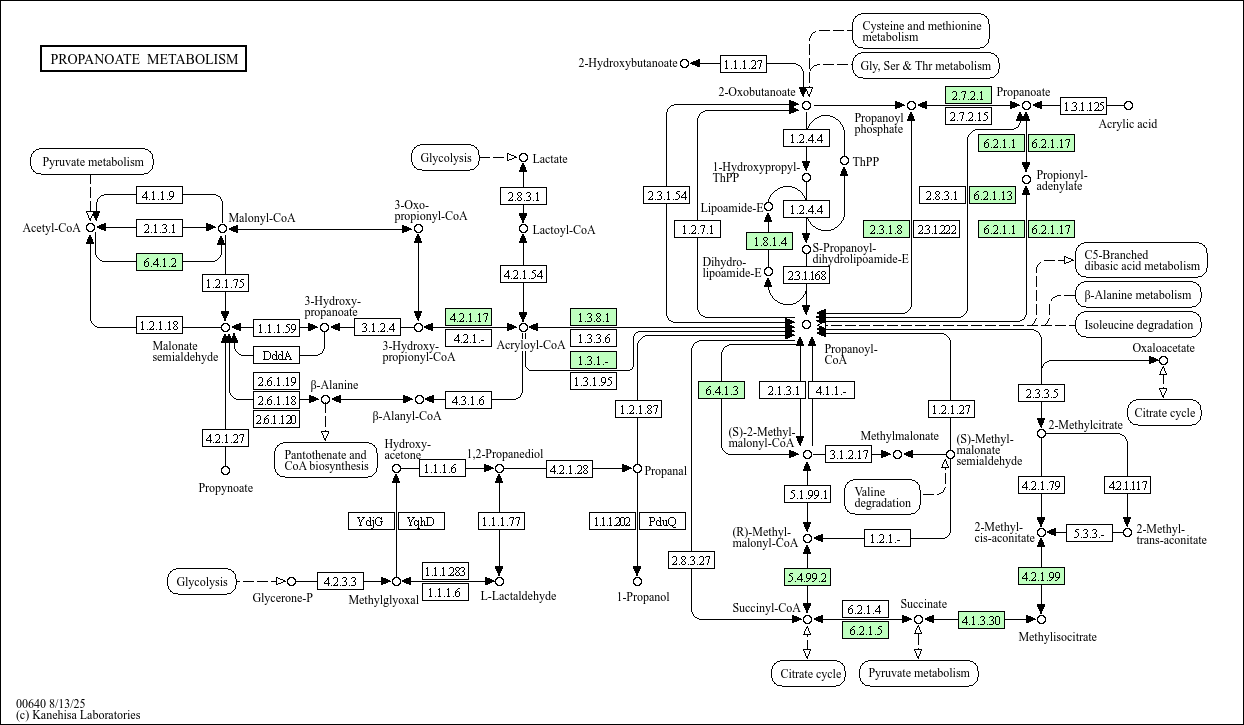 KEGG PATHWAY: Propanoate metabolism - Hydrogenophilus thermoluteolus