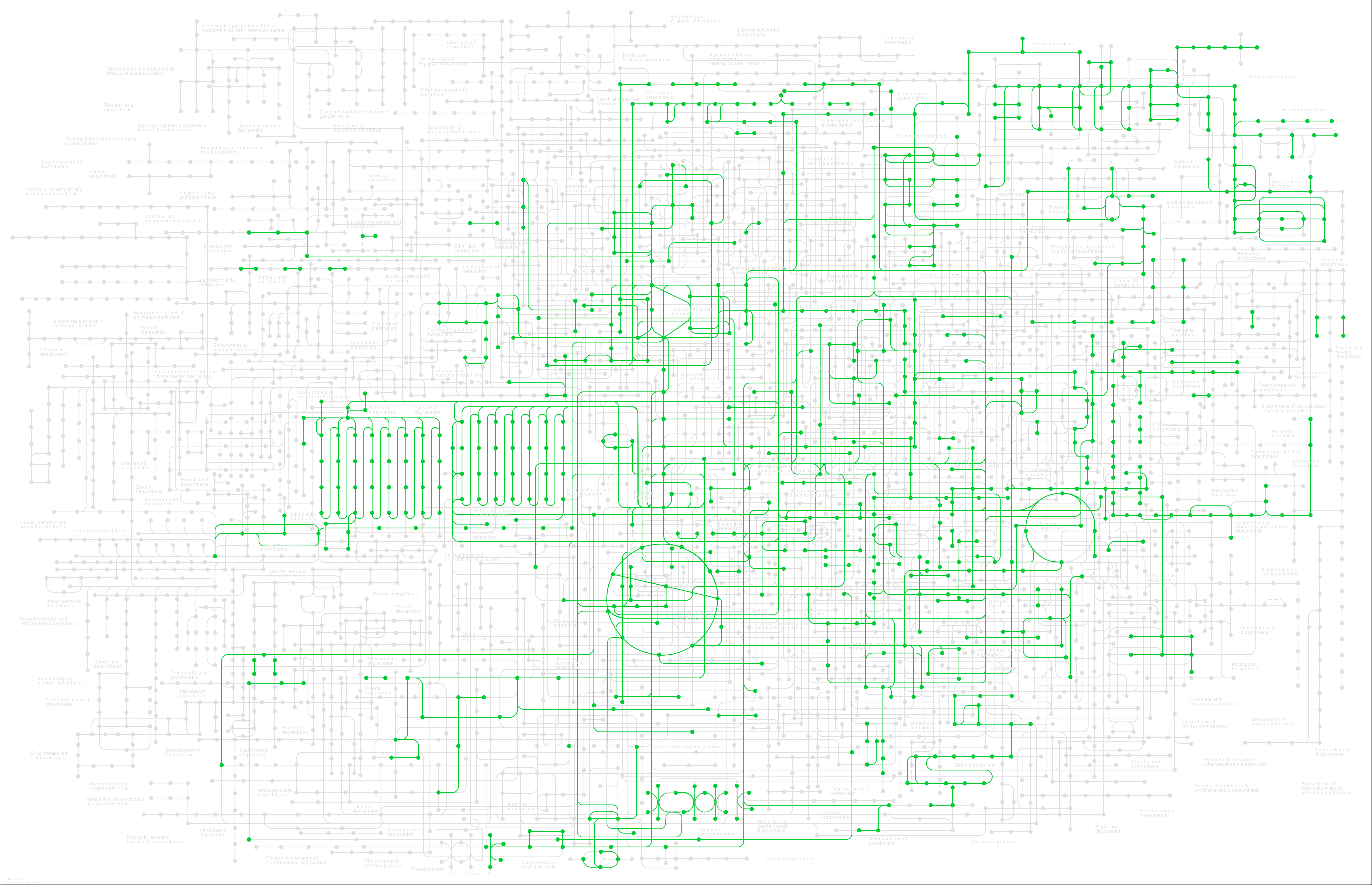 KEGG PATHWAY: Metabolic pathways - Hydrogenophilus thermoluteolus